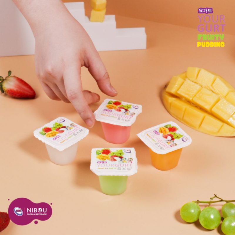 Nibou (NBI) YOURGURT Fruity Pudding with Nata De Coco Assorted (Free 3 ...