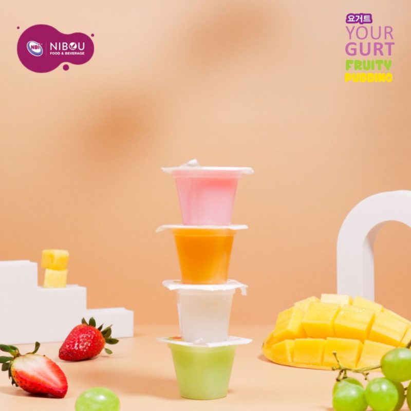 Nibou (NBI) YOURGURT Fruity Pudding with Nata De Coco Assorted (Free 3 ...