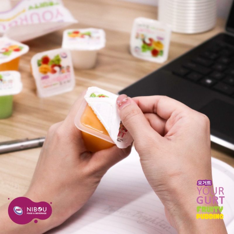 Nibou (NBI) YOURGURT Fruity Pudding with Nata De Coco Assorted (Free 3 ...